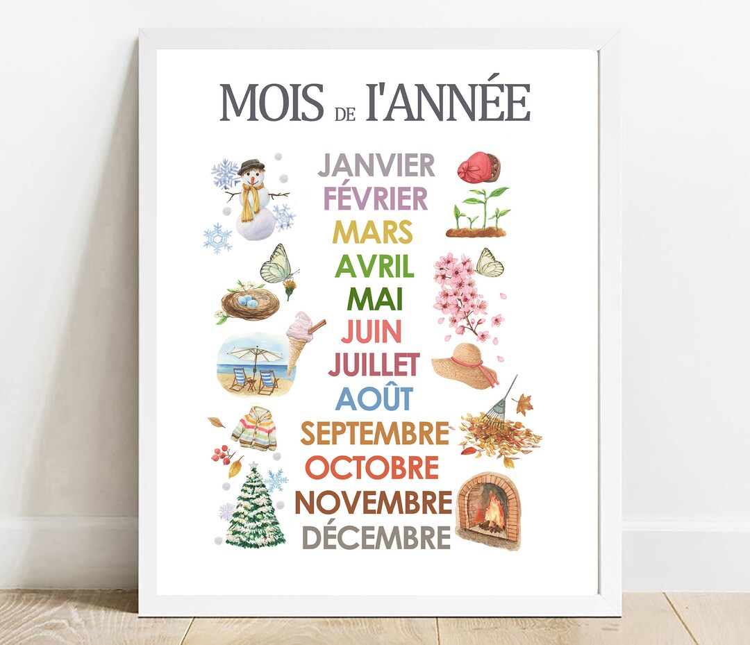 French Mois De I'année, Months of the Year, Educational Posters ...