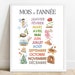 French Mois De I'année, Months of the Year, Educational Posters ...