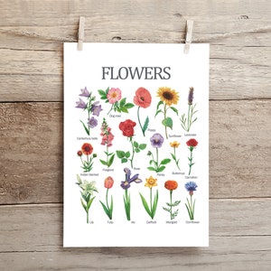 Flowers Chart Printable Classroom, Learning Home School,preschool ...