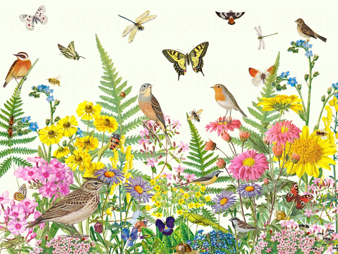 Summer Garden Clipart With Flowers, Birds and Insects, 42 PNG Files ...