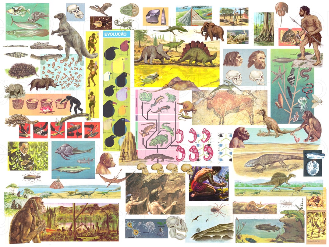Evolution Digital Collage Sheet - Vintage Illustrations of Dinosaurs ...