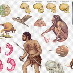Evolution Digital Collage Sheet - Vintage Illustrations of Dinosaurs ...
