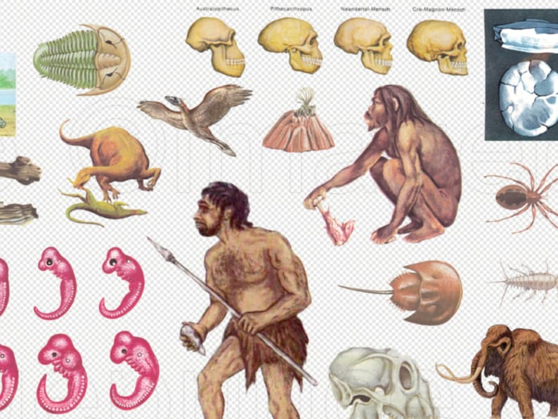 Evolution Digital Collage Sheet - Vintage Illustrations of Dinosaurs ...