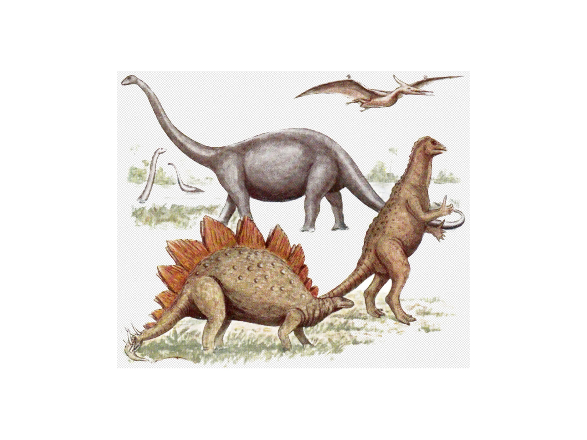 Dinosaur Clipart, Instant Download, Digital Collage Sheet for ...