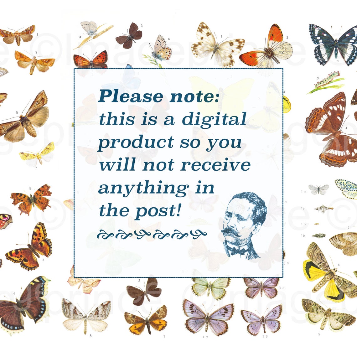 Butterfly and Moth Collage Sheets Instant Download for - Etsy