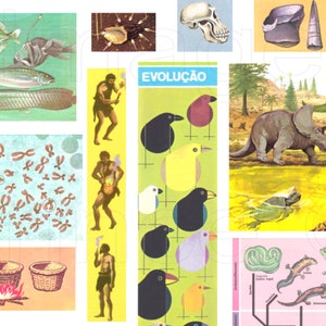 Evolution Digital Collage Sheet - Vintage Illustrations of Dinosaurs ...