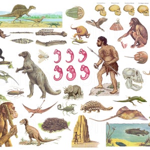 Evolution Collage Kit – Dinosaur & Early Man Illustrations (digital ...