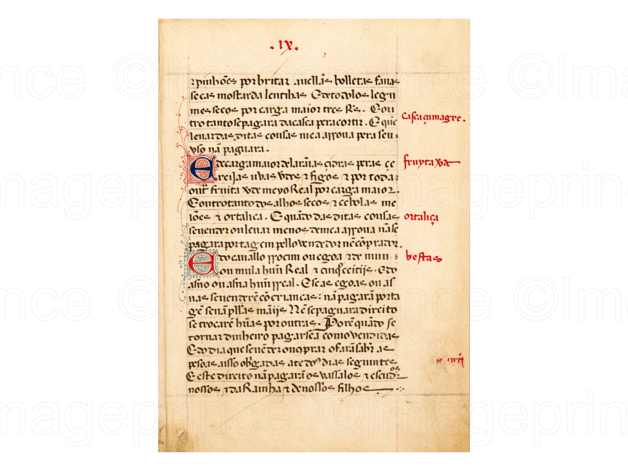 Medieval Script Pages Set of 5 Digital Paper With - Etsy