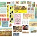 Evolution Digital Collage Sheet Vintage Illustrations of - Etsy