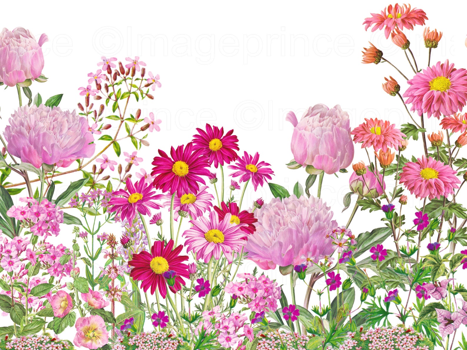 Pink Flower Clipart Set of 14 Vintage Illustrations Instant - Etsy