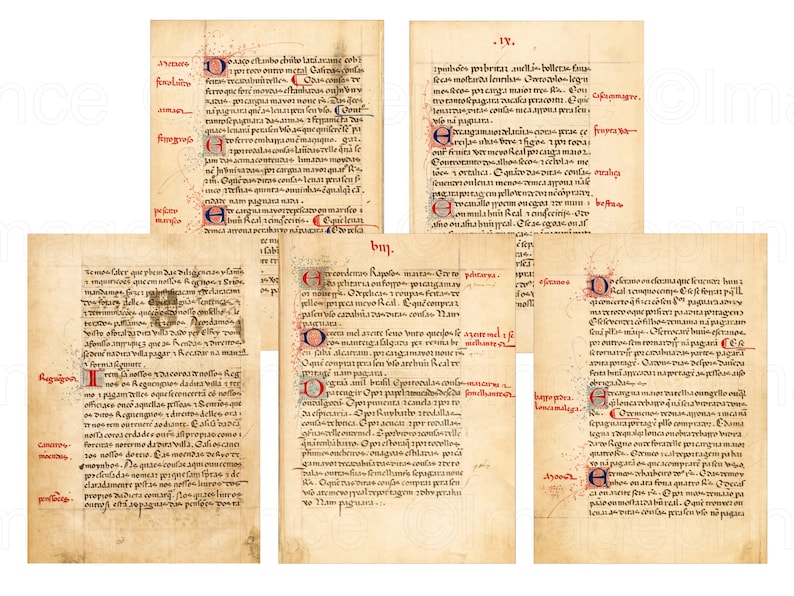 Medieval Script Pages, Set of 5, Digital Paper With Handwriting on ...