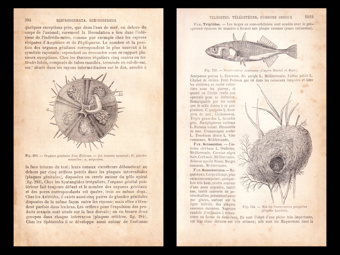 Biology Book Pages, Vintage Anatomy, Digital Jpgs, Antique French ...