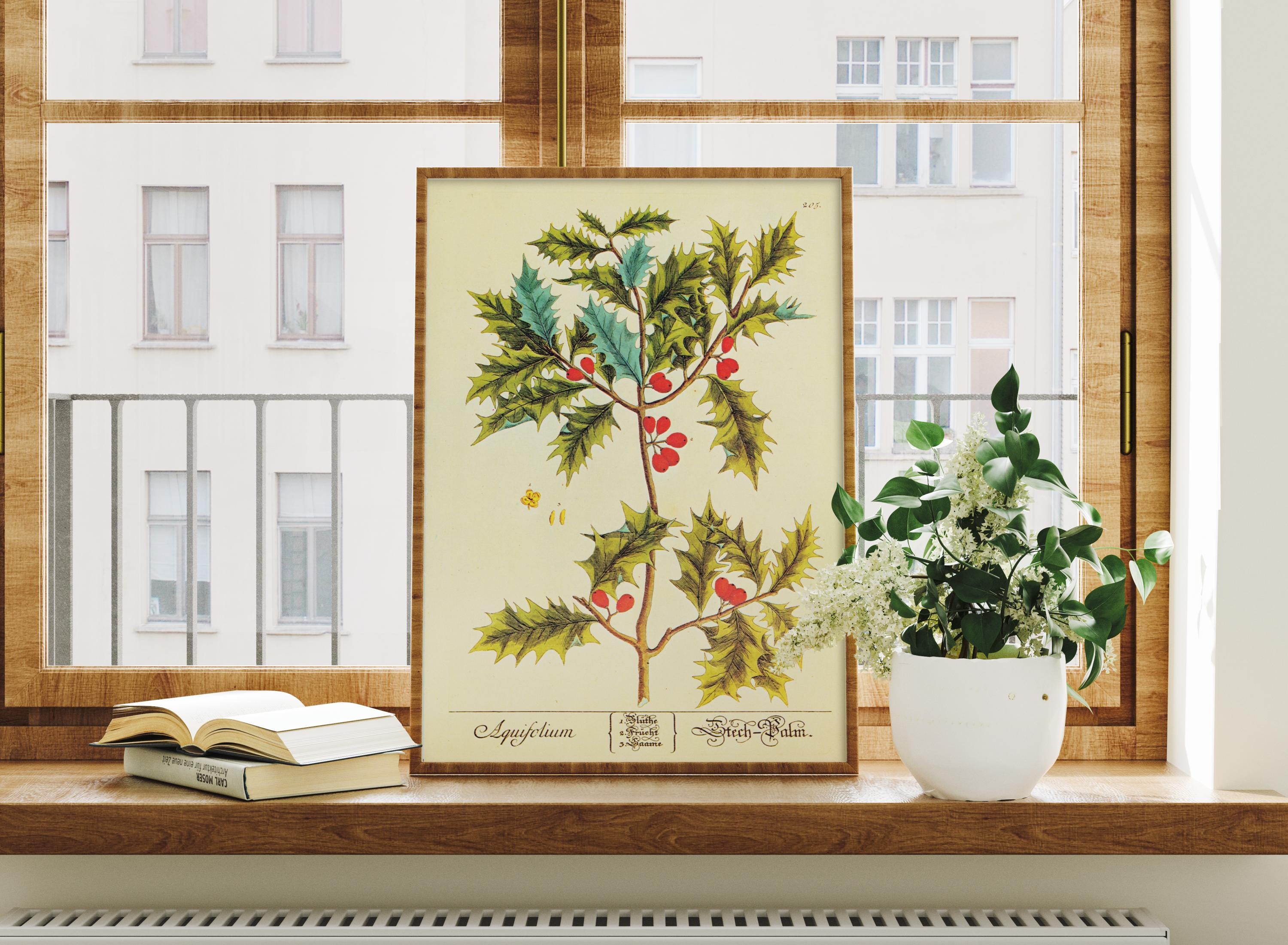 Holly Printable, Vintage Botanical Art, Digital Download for Christmas ...