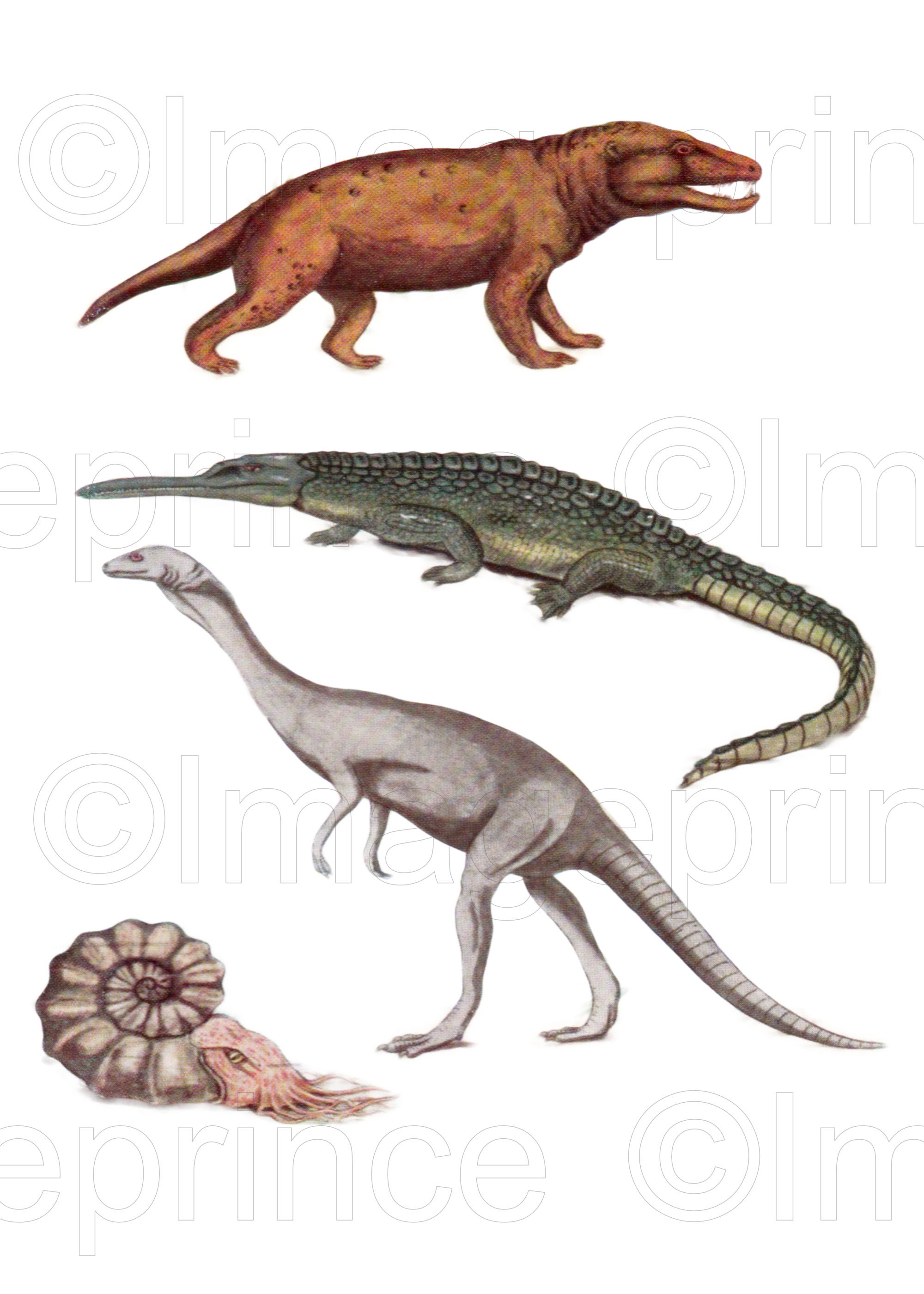 Dinosaur Clipart, Instant Download, Digital Collage Sheet for ...