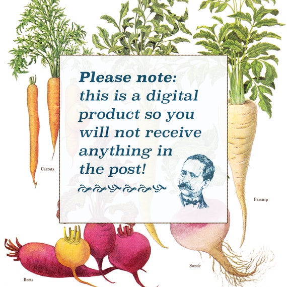 Root Vegetables Chart