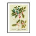 Holly Printable Vintage Botanical Art Digital Download for - Etsy
