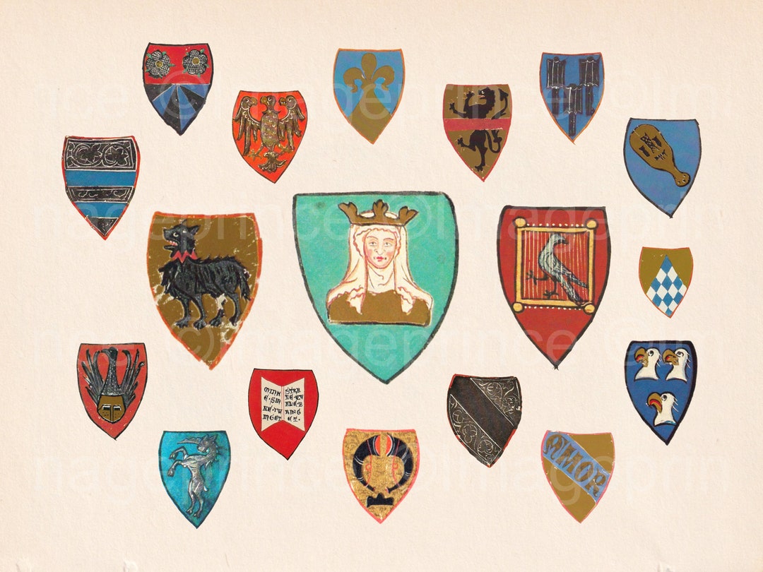 Medieval Clipart Shields, Heraldry, Coat of Arms, 18 Individual PNG ...