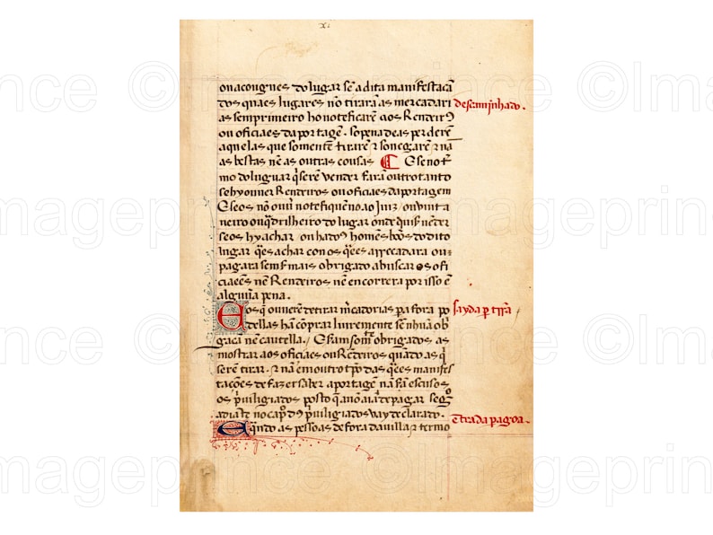 Medieval Script Pages, Set of 5, Digital Paper With Handwriting on ...