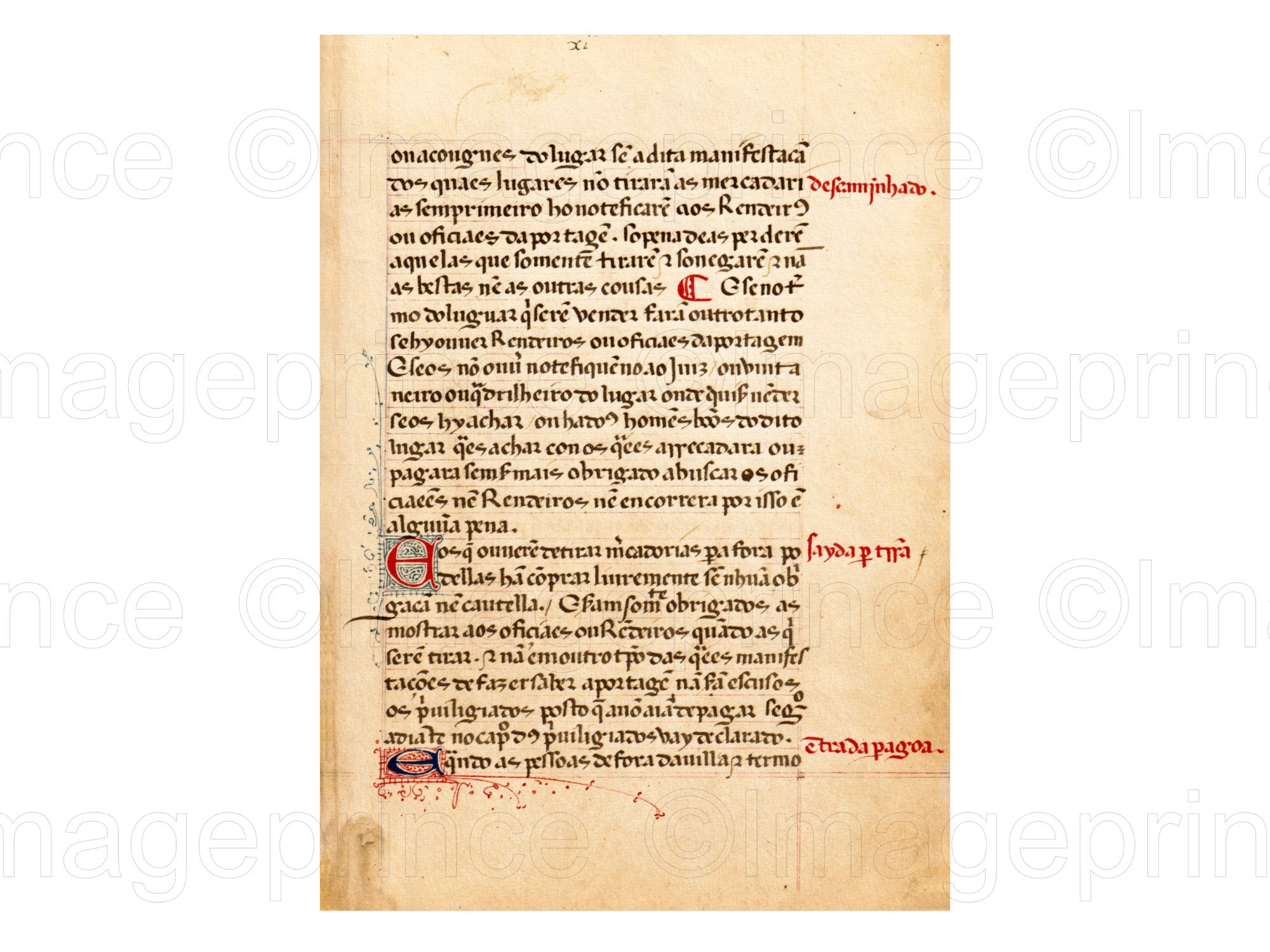 Medieval Script Pages, Set of 5, Digital Paper With Handwriting on ...