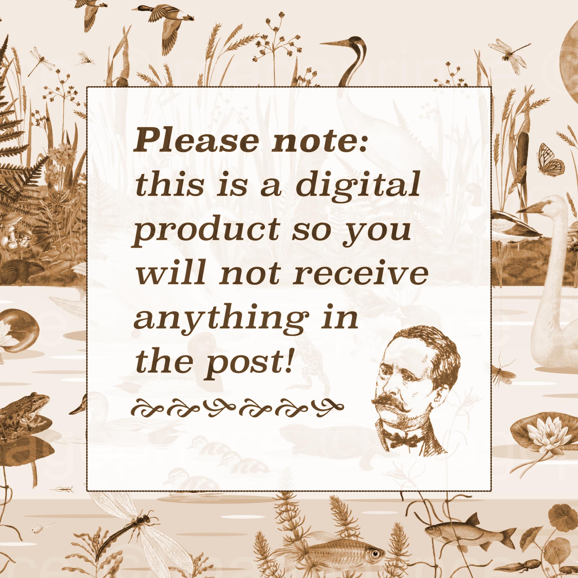 Pond Life Clip Art With Frogs, Water Plants, Insects, Beavers, Heron ...