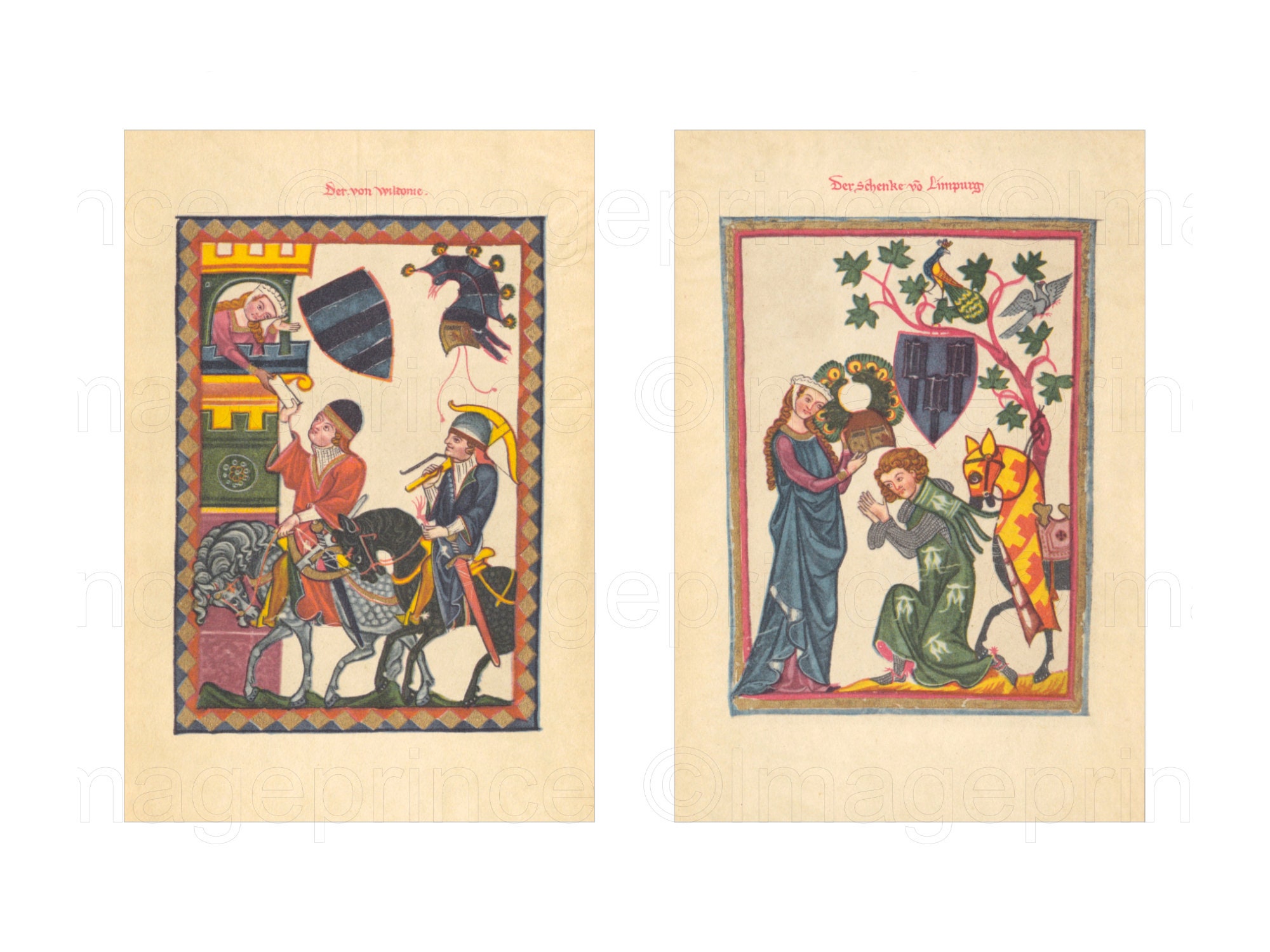 Digital Medieval Pages With Knights, Maidens, Coats of Arms ...