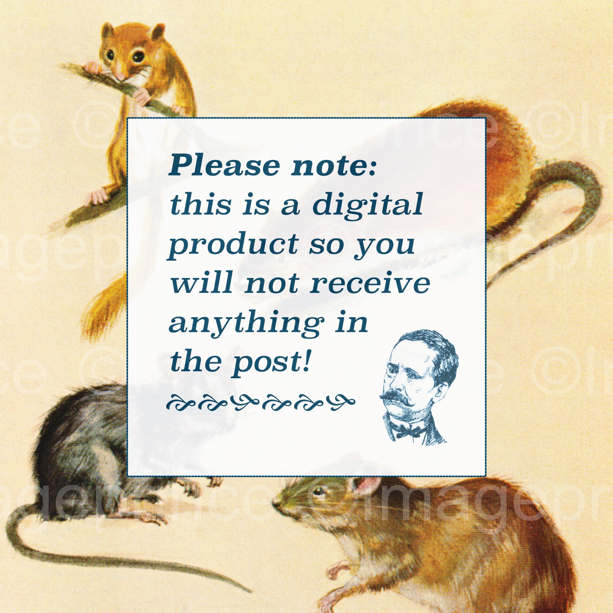 Vintage Rat Printable, Brown Rat, Black Rat, Wood Rat - Digital ...