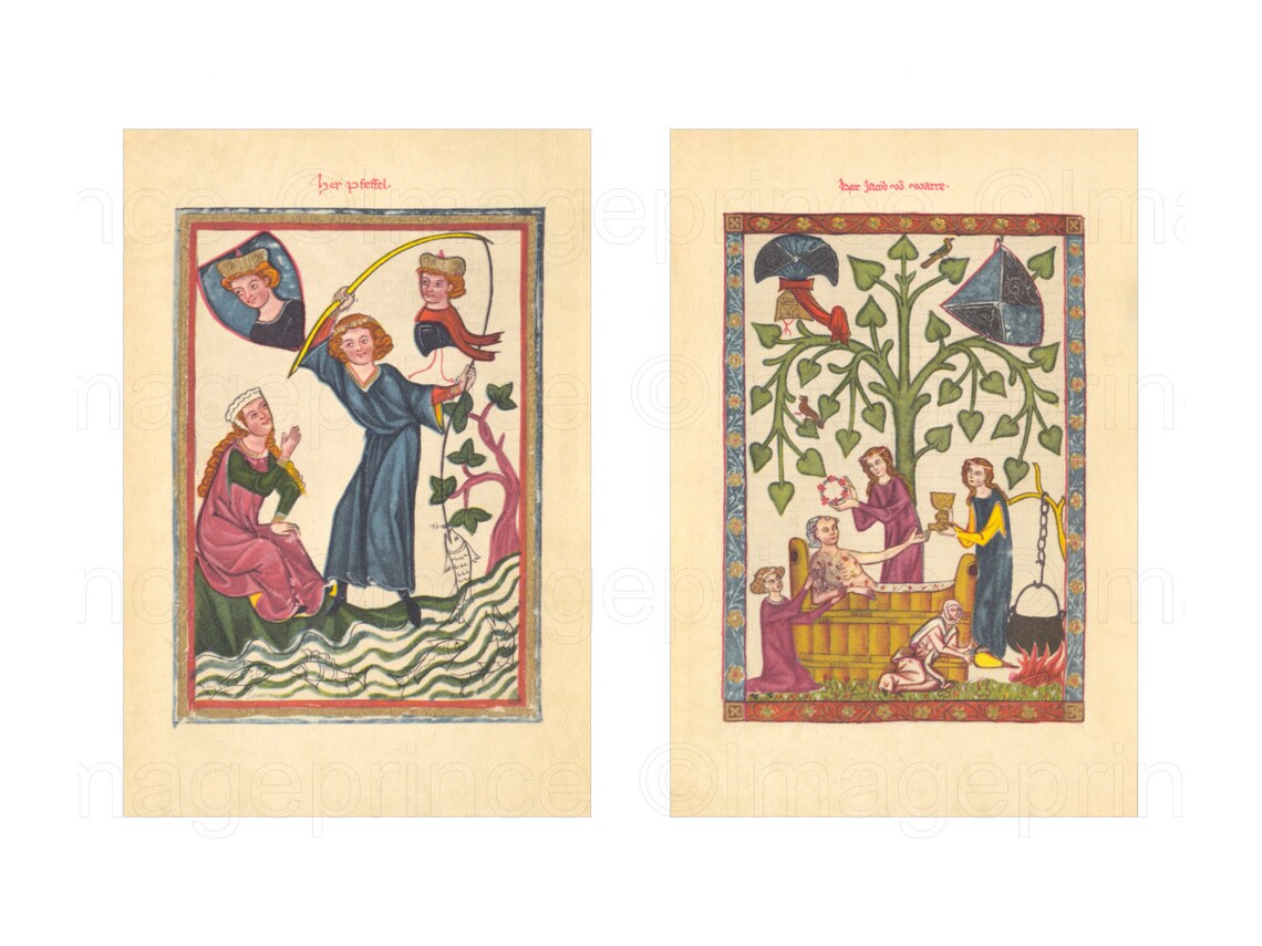 Digital Medieval Pages With Knights Maidens Coats of Arms - Etsy