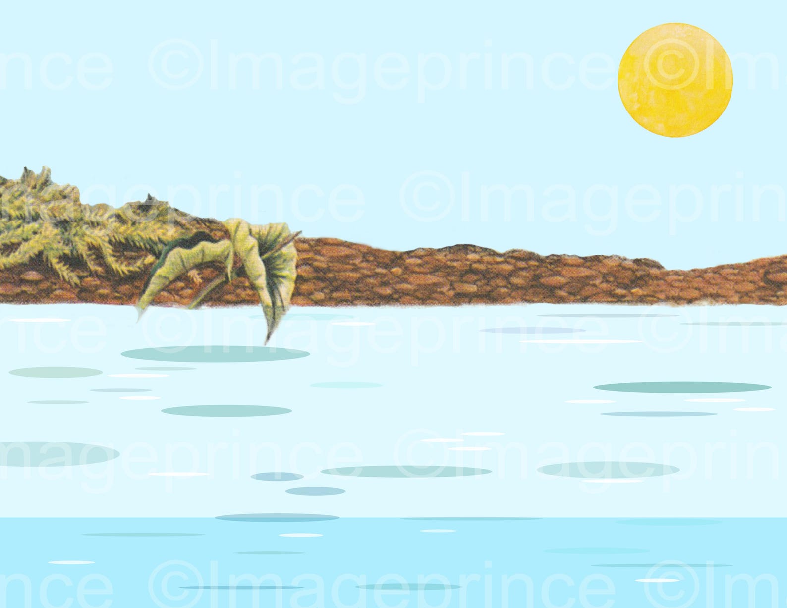 Pond Life Clip Art With Frogs, Water Plants, Insects, Beavers, Heron ...
