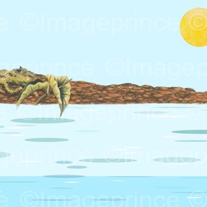 Pond Life Clip Art With Frogs, Water Plants, Insects, Beavers, Heron ...