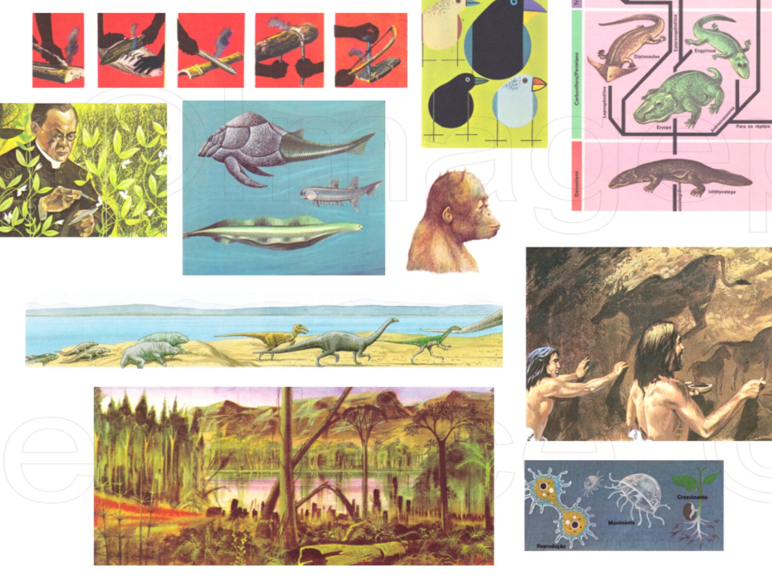 Evolution Digital Collage Sheet - Vintage Illustrations of Dinosaurs ...