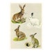 Hare and Rabbits Printable, Woodland Animals, Digital Download for ...
