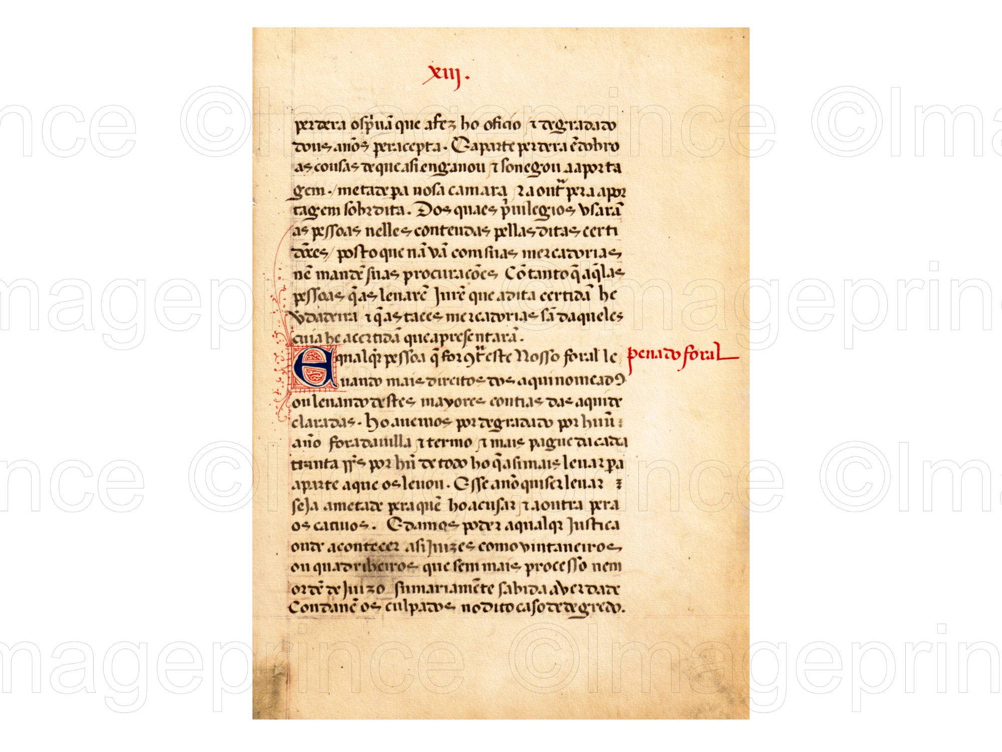 Medieval Script Pages, Set of 5, Digital Paper With Handwriting on ...