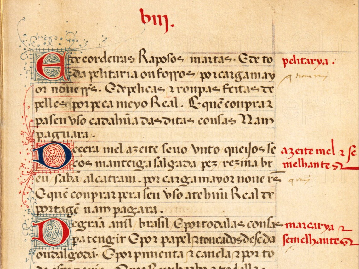 Medieval Script Pages Set of 5 Digital Paper With - Etsy