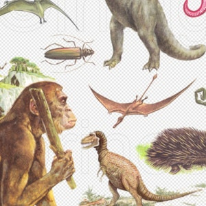 Evolution Digital Collage Sheet - Vintage Illustrations of Dinosaurs ...