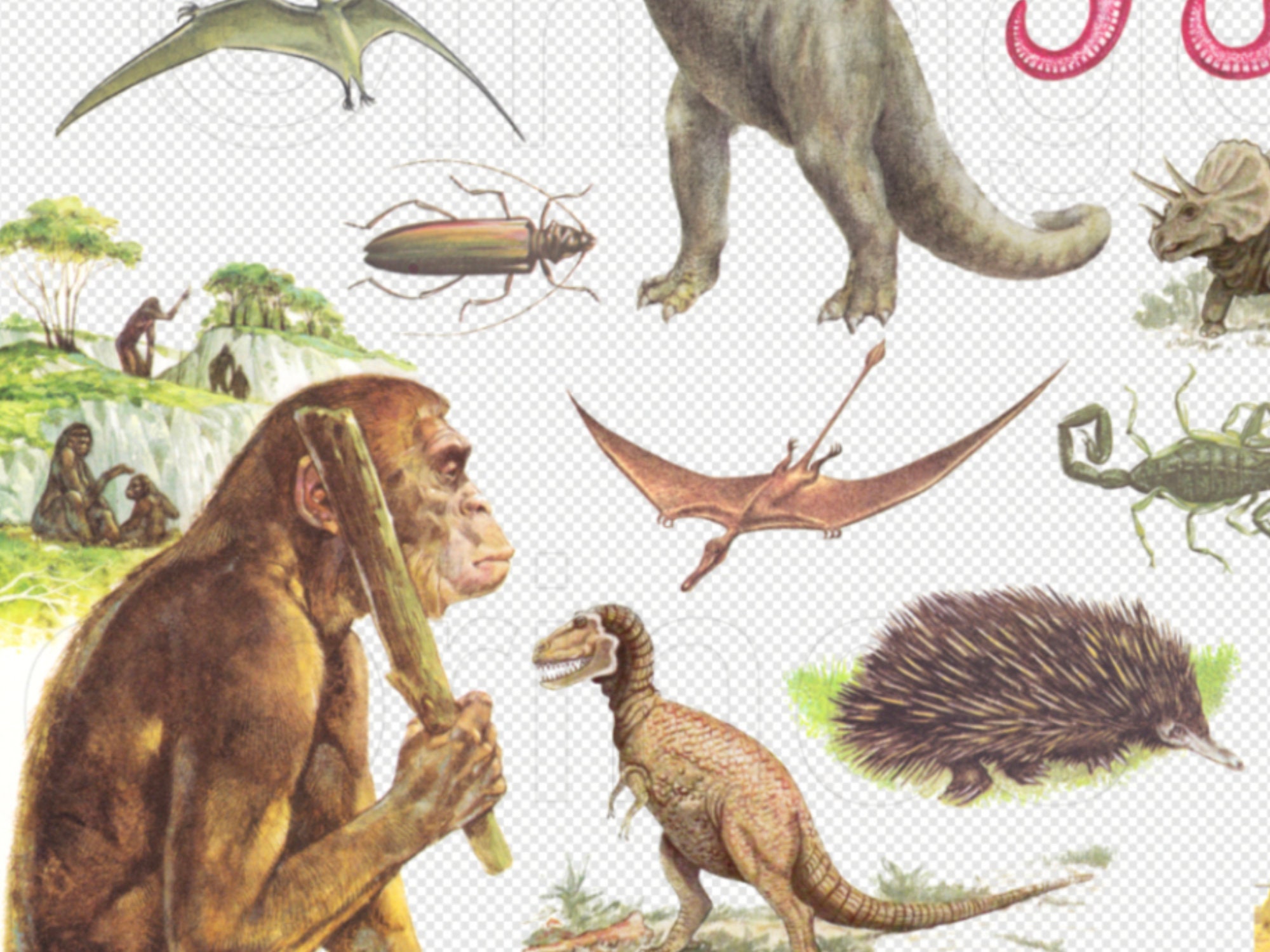Evolution Collage Kit – Dinosaur & Early Man Illustrations (digital ...
