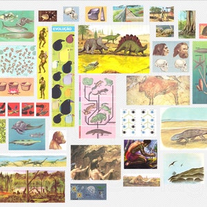 Evolution Digital Collage Sheet - Vintage Illustrations of Dinosaurs ...