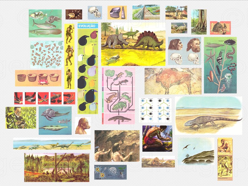 Evolution Collage Kit – Dinosaur & Early Man Illustrations (digital ...