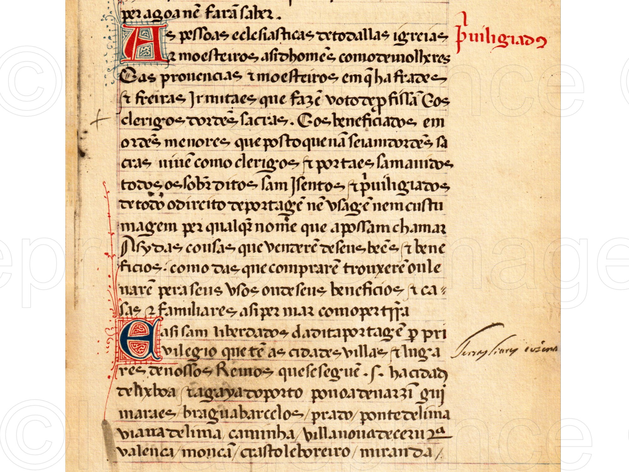 Medieval Script Pages, Set of 5, Digital Paper With Handwriting on ...