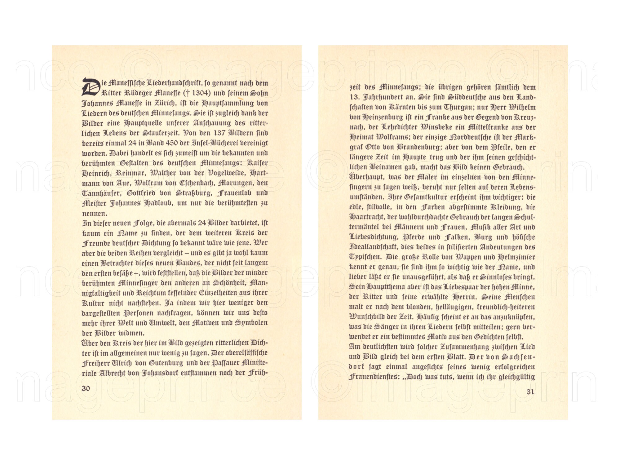 Digital Medieval Pages With Maidens Coats of Arms Gothic - Etsy Canada