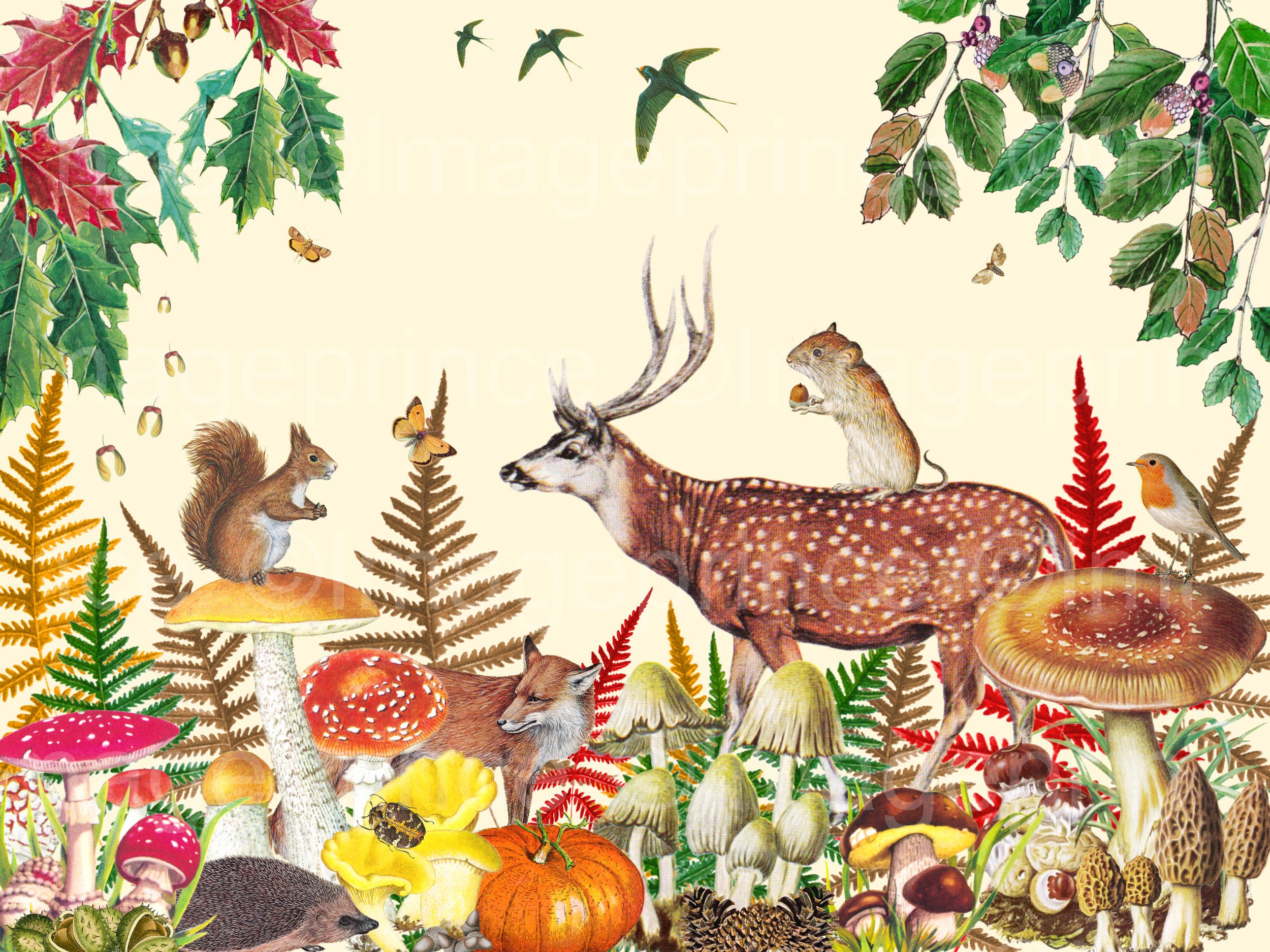 Autumn Clipart Set Mushrooms Animals Pumpkin Chestnuts - Etsy UK