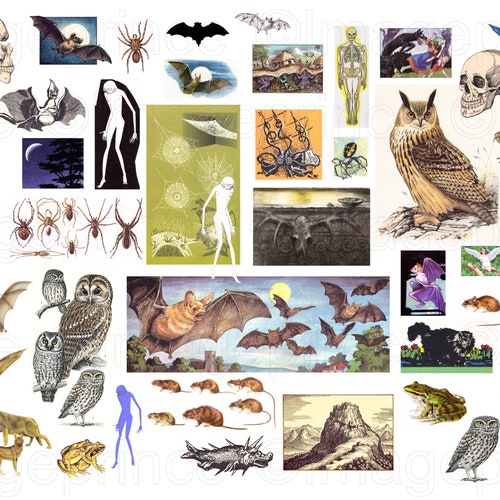 Days Gone by Regency Gents & Ladies Fashion Collage Sheet | Etsy