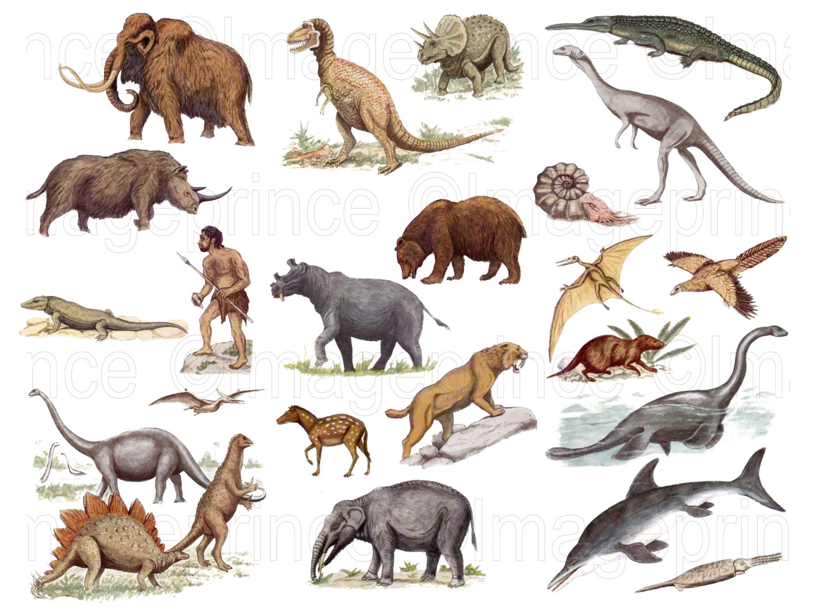 Dinosaur Clipart, Instant Download, Digital Collage Sheet for ...