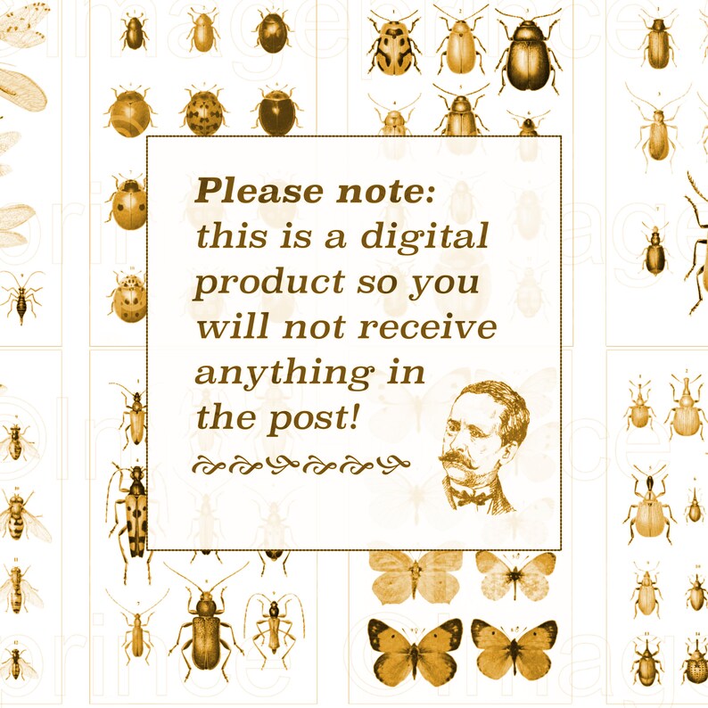 Insect Collage Sheets With Butterflies Ladybugs Beetles - Etsy