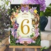 Princess and the Frog Table Number, Princess and Frog Sign, Quinceanera ...