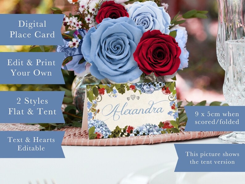 Alice in Wonderland Place Card Alice Place Card Alice - Etsy