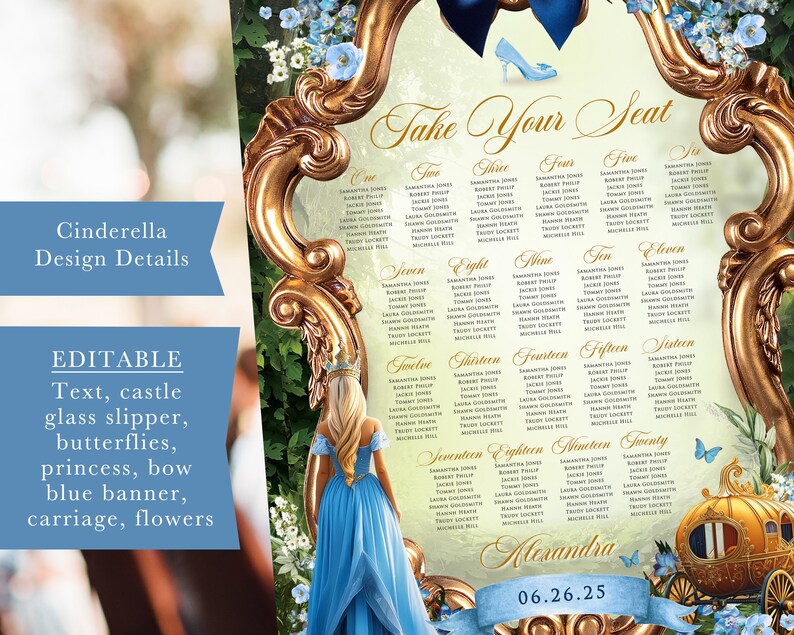 Cinderella Seating Chart, Princess Party Sign (digital) 026 - Etsy