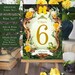 Princess and the Frog Table Number, Princess and Frog Sign, Quinceanera ...