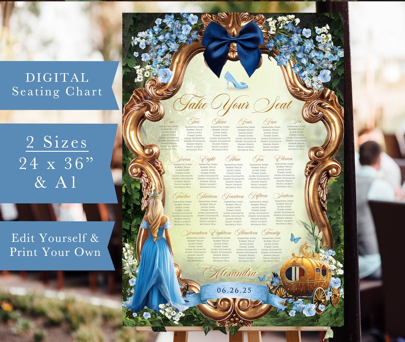 Cinderella Seating Chart, Princess Party Sign (digital) 026 - Etsy