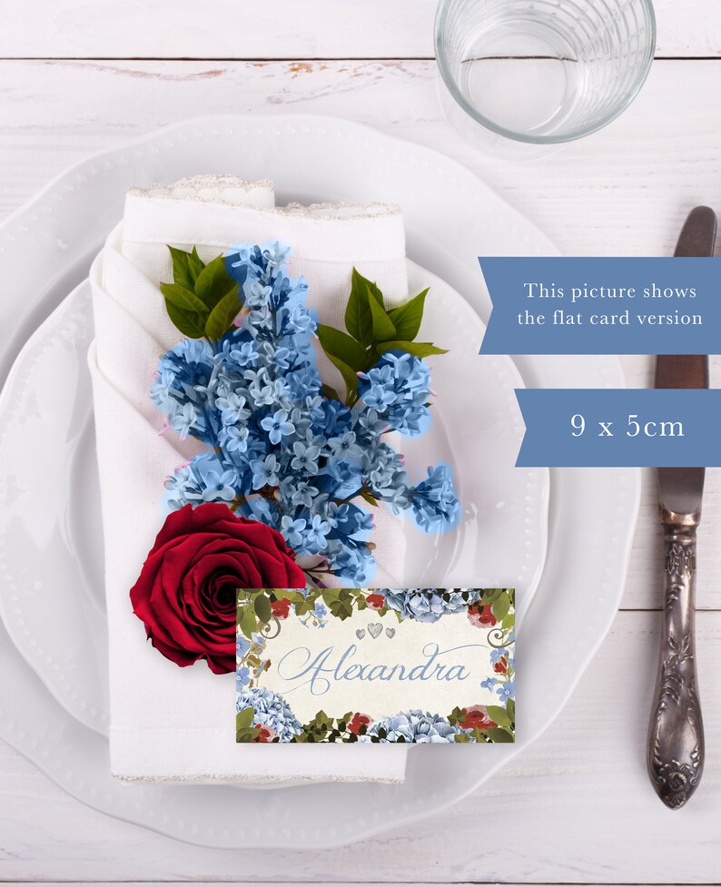 Alice in Wonderland Place Card Alice Place Card Alice - Etsy