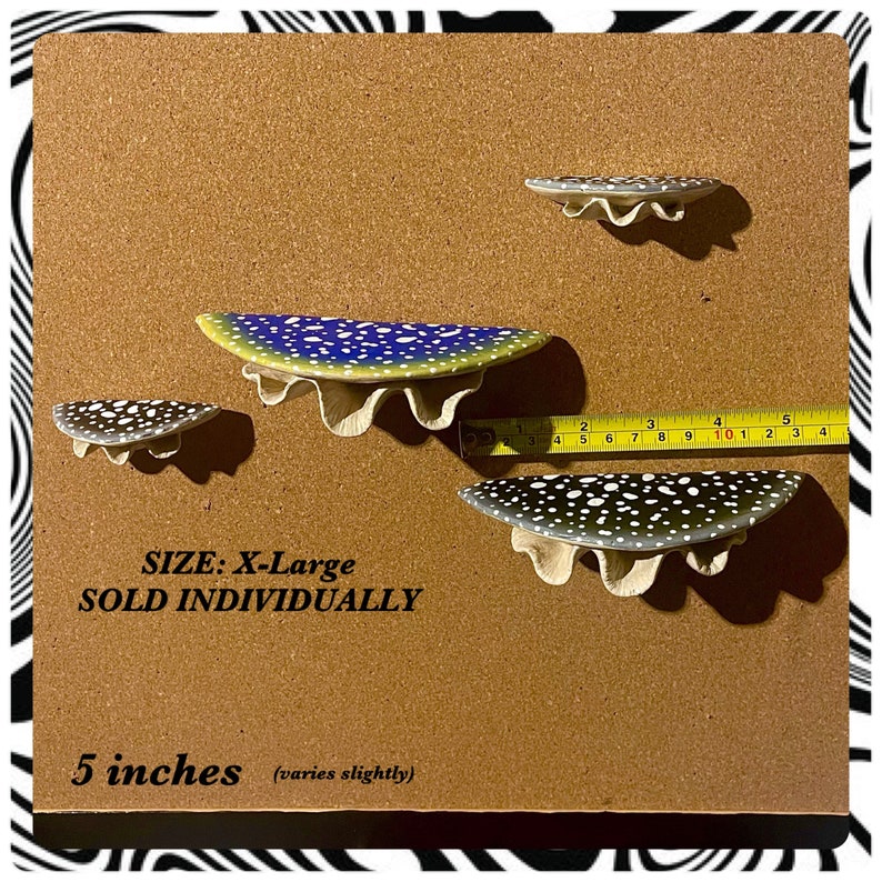 Handcrafted Floating Mushroom Shelf Decor Display Etsy
